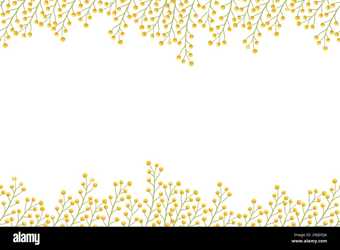 Yellow mimosa flowers seamless horizontal frame top and bottom ...