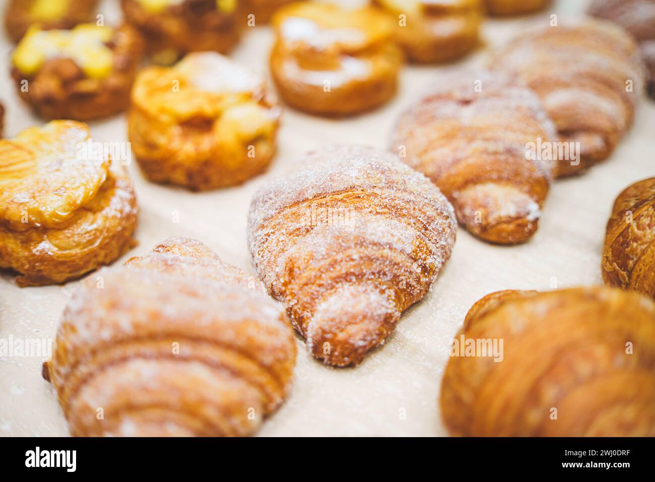 Various of sweets and desserts in the bakery. High quality photo Stock ...