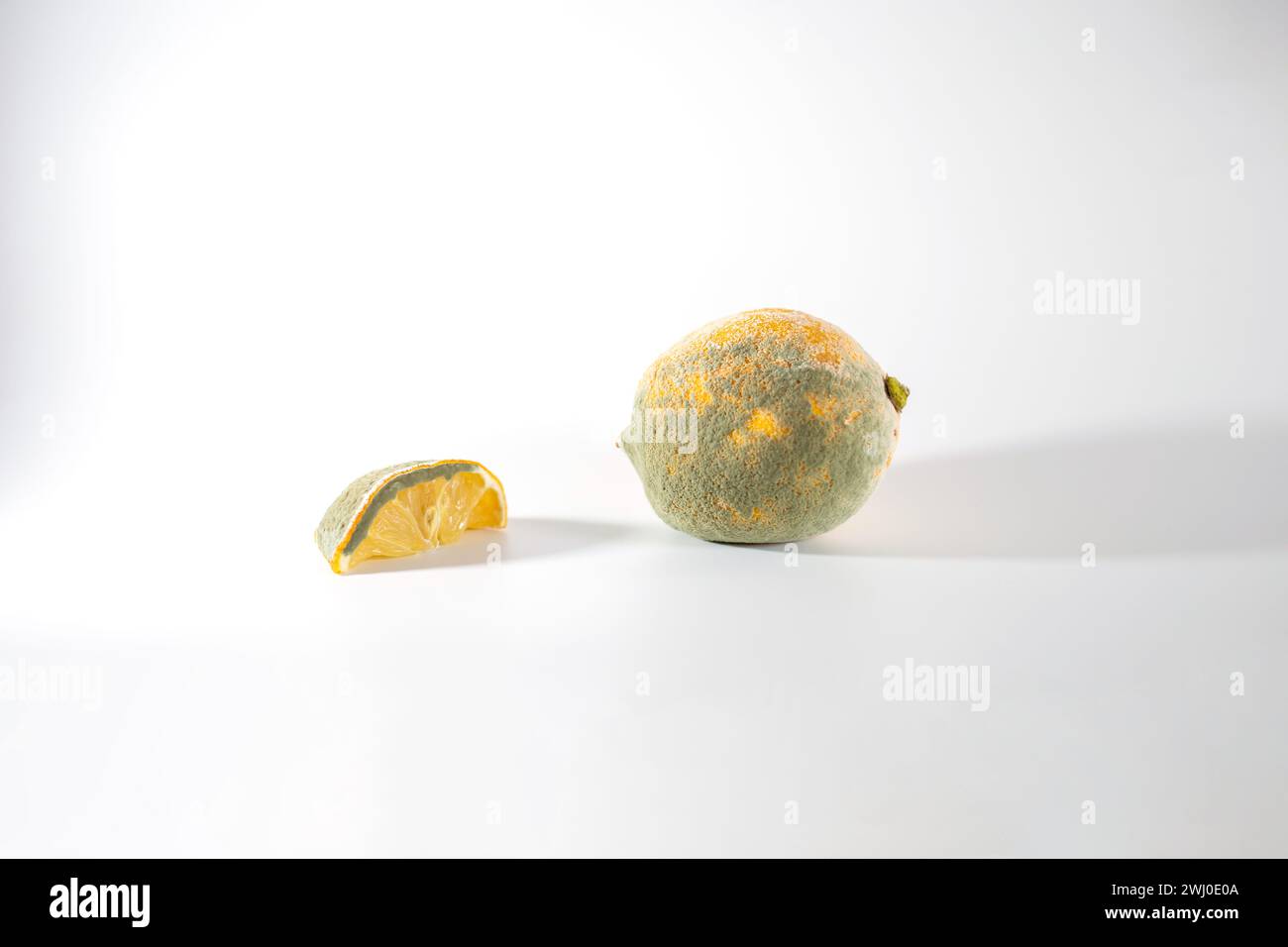 Rotten lemon mold spoiled hi-res stock photography and images - Alamy