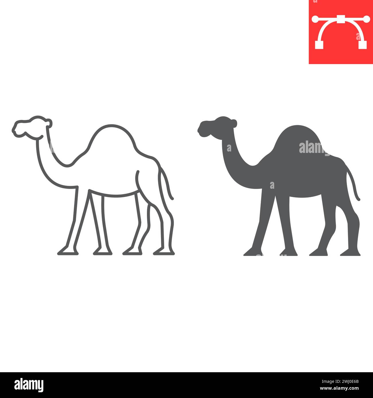 Camel line and glyph icon, zoo and animal, Arabian camel vector icon ...