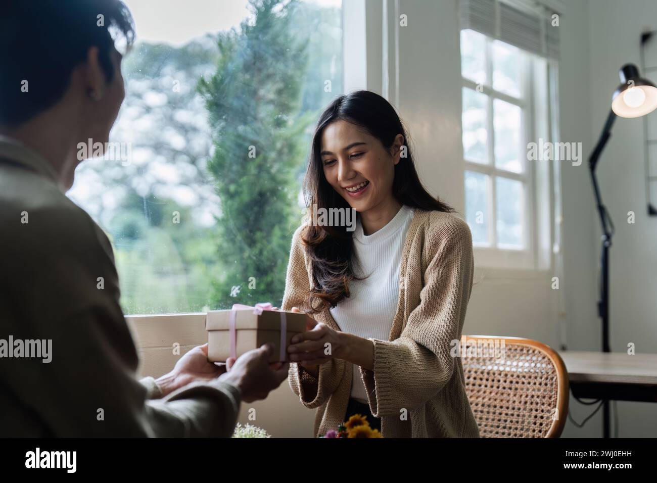Young couple Hug and giving present on Valentine's Day. Romantic day ...
