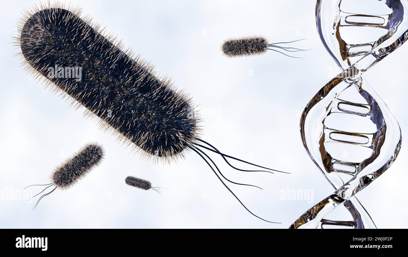 3d rendering of a double helix DNA strand surrounded by several rod ...