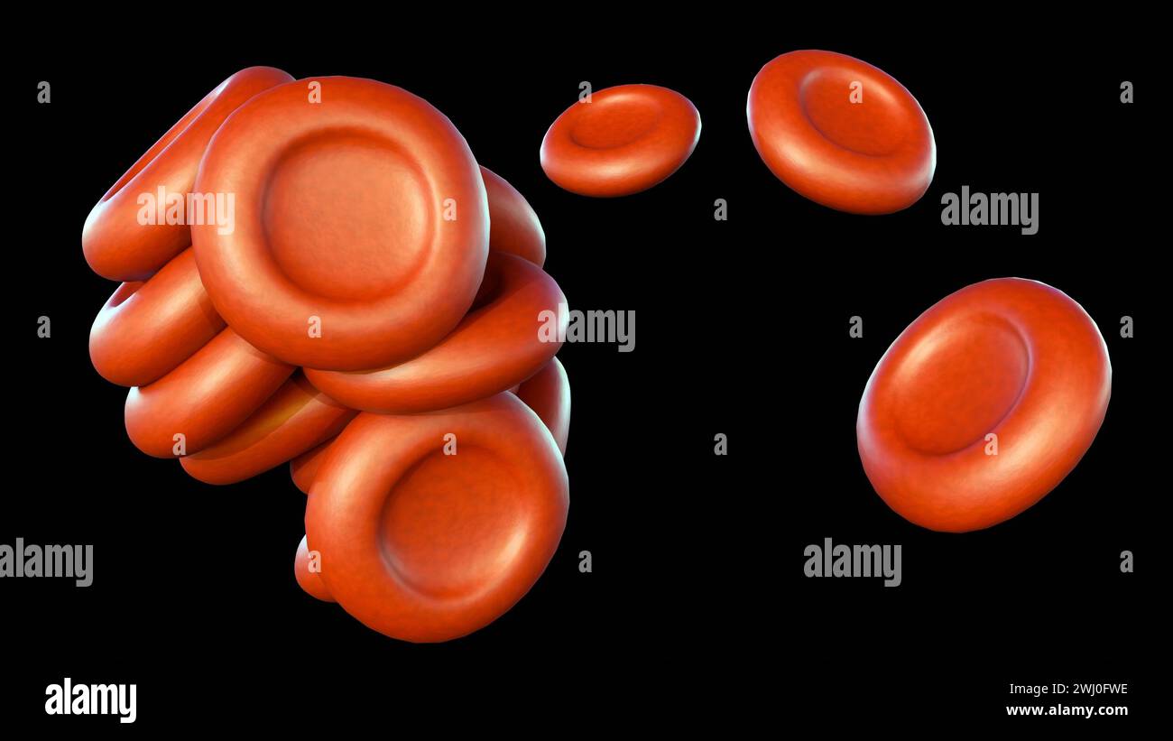 Hemagglutination hi-res stock photography and images - Alamy