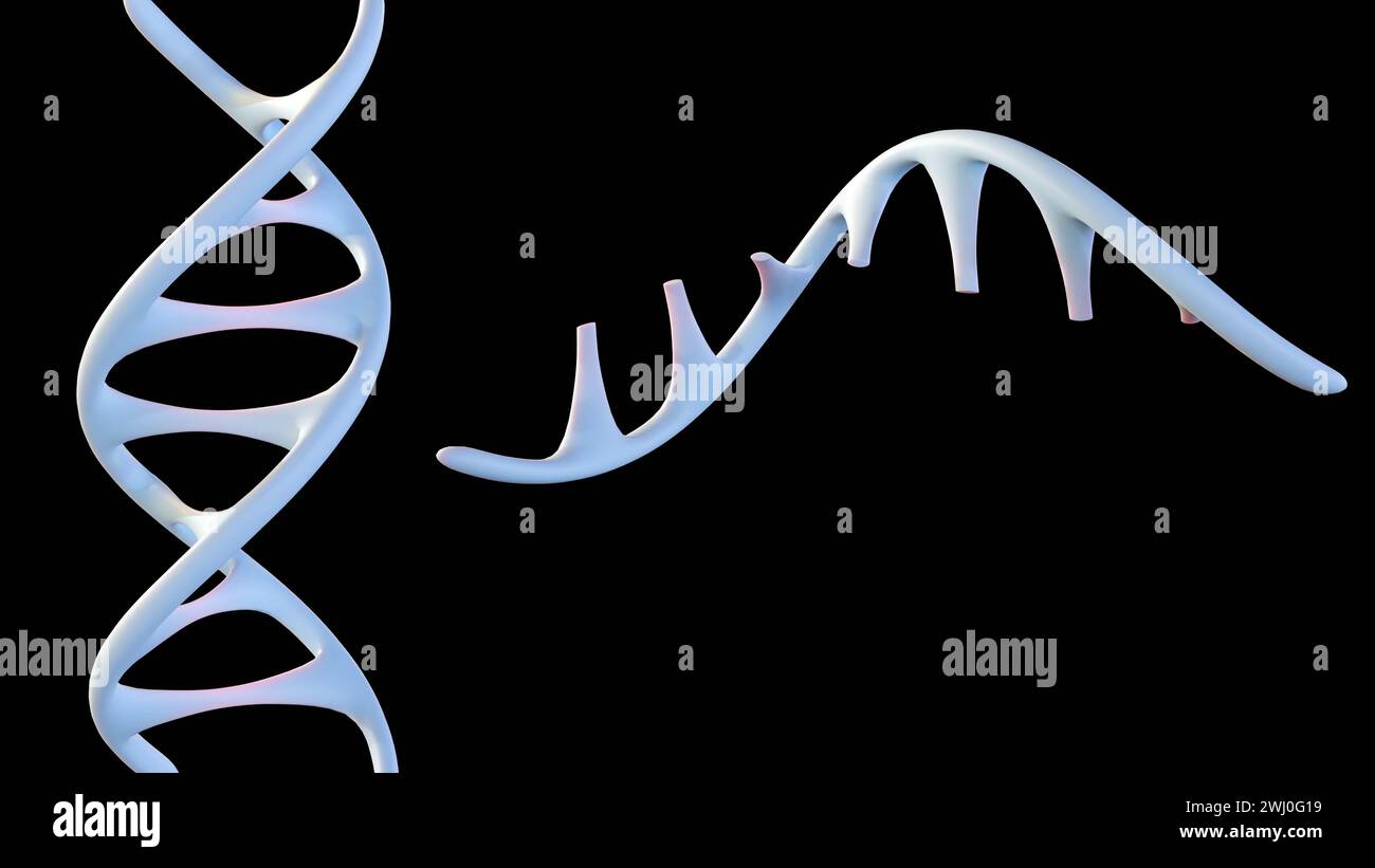 3d rendering of DNA editing technique called CRISPR, to replace ...