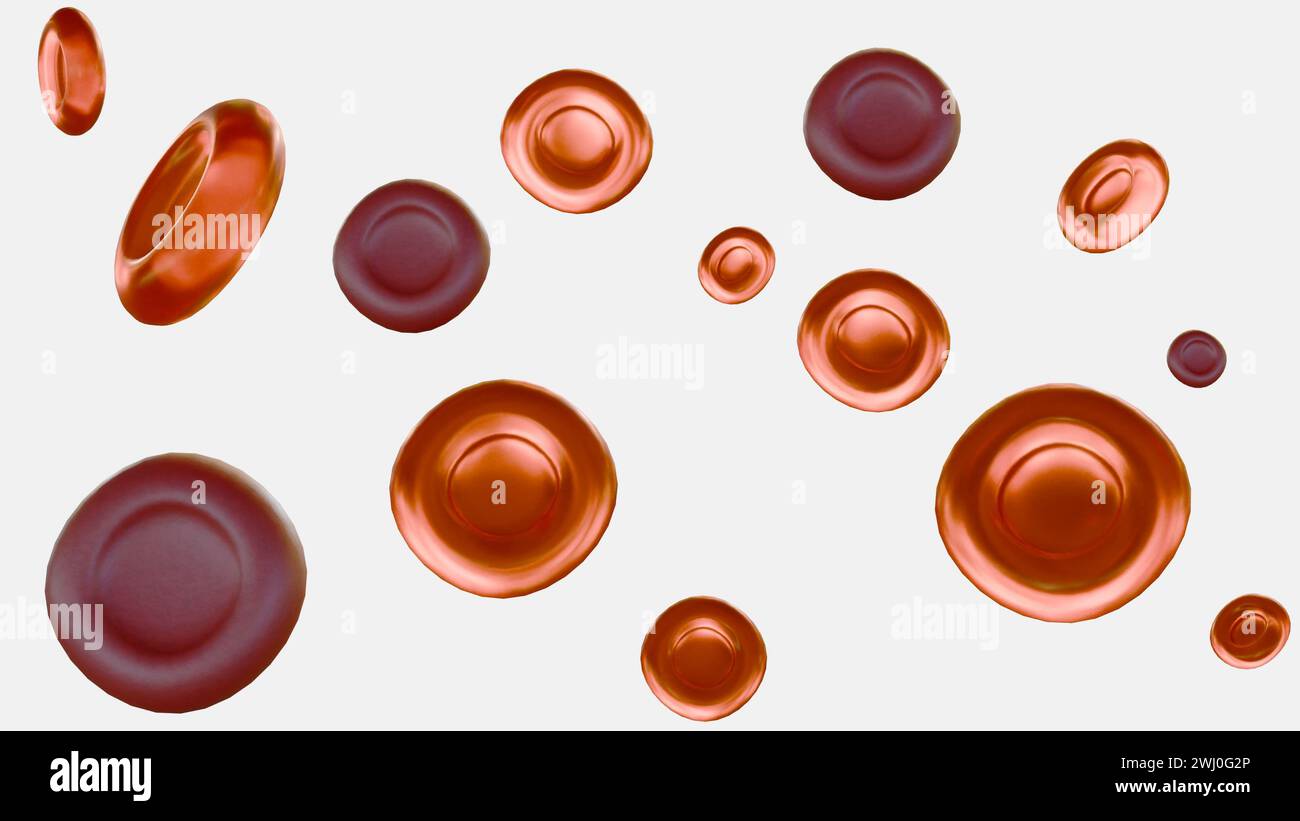 3d rendering of hypochromic red blood cells are red blood cells that ...