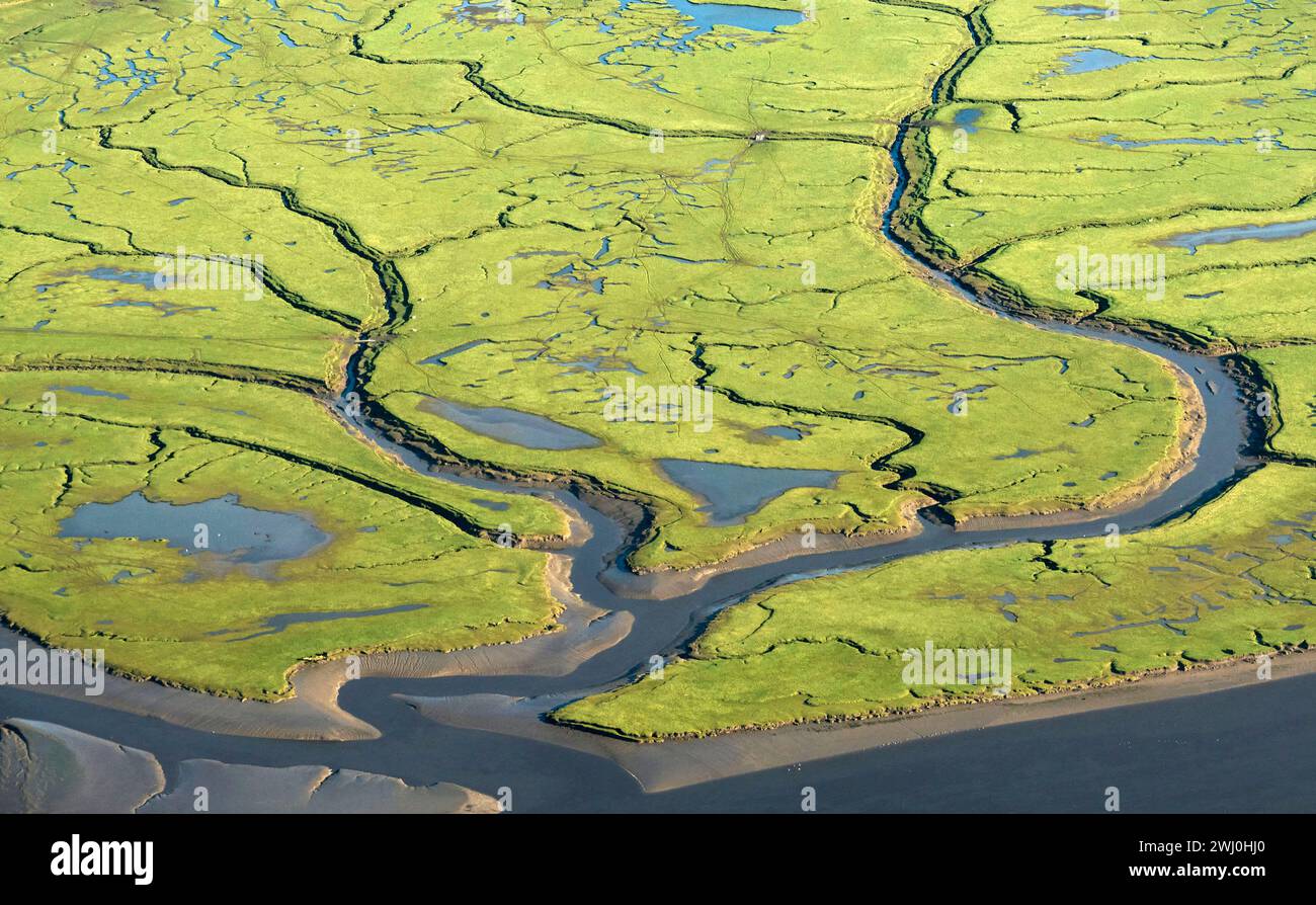 Rural grassed over mud flats hi-res stock photography and images - Alamy