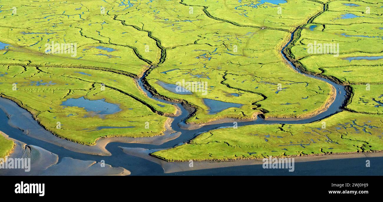 Rural grassed over mud flats, Ribble Estuary, west coast, north west ...