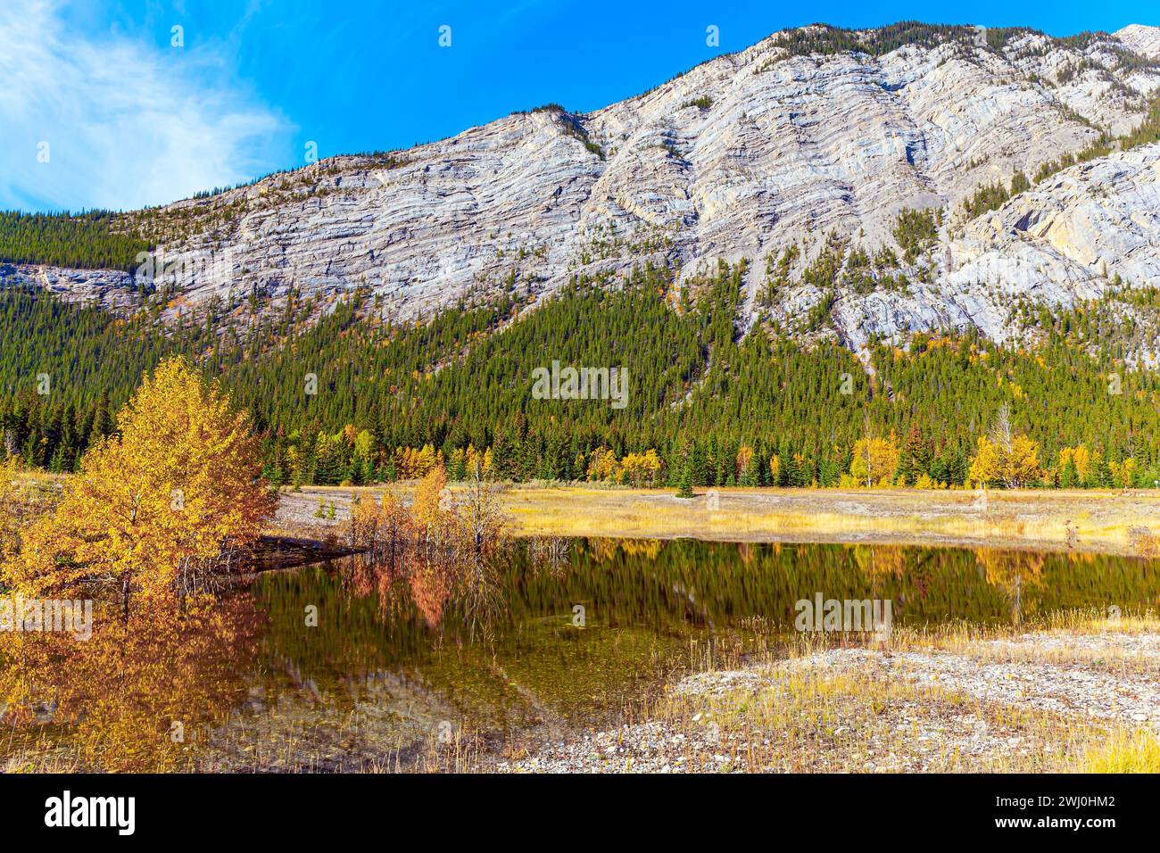 Smooth reflection hi-res stock photography and images - Alamy