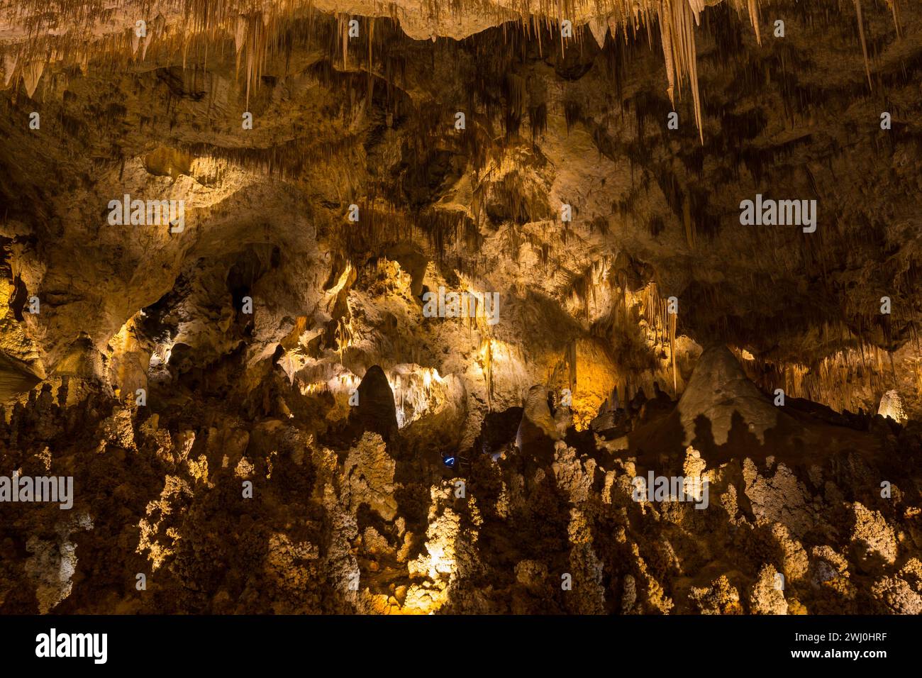 Carlsbad Caverns National Park is located in the US state of New Mexico ...