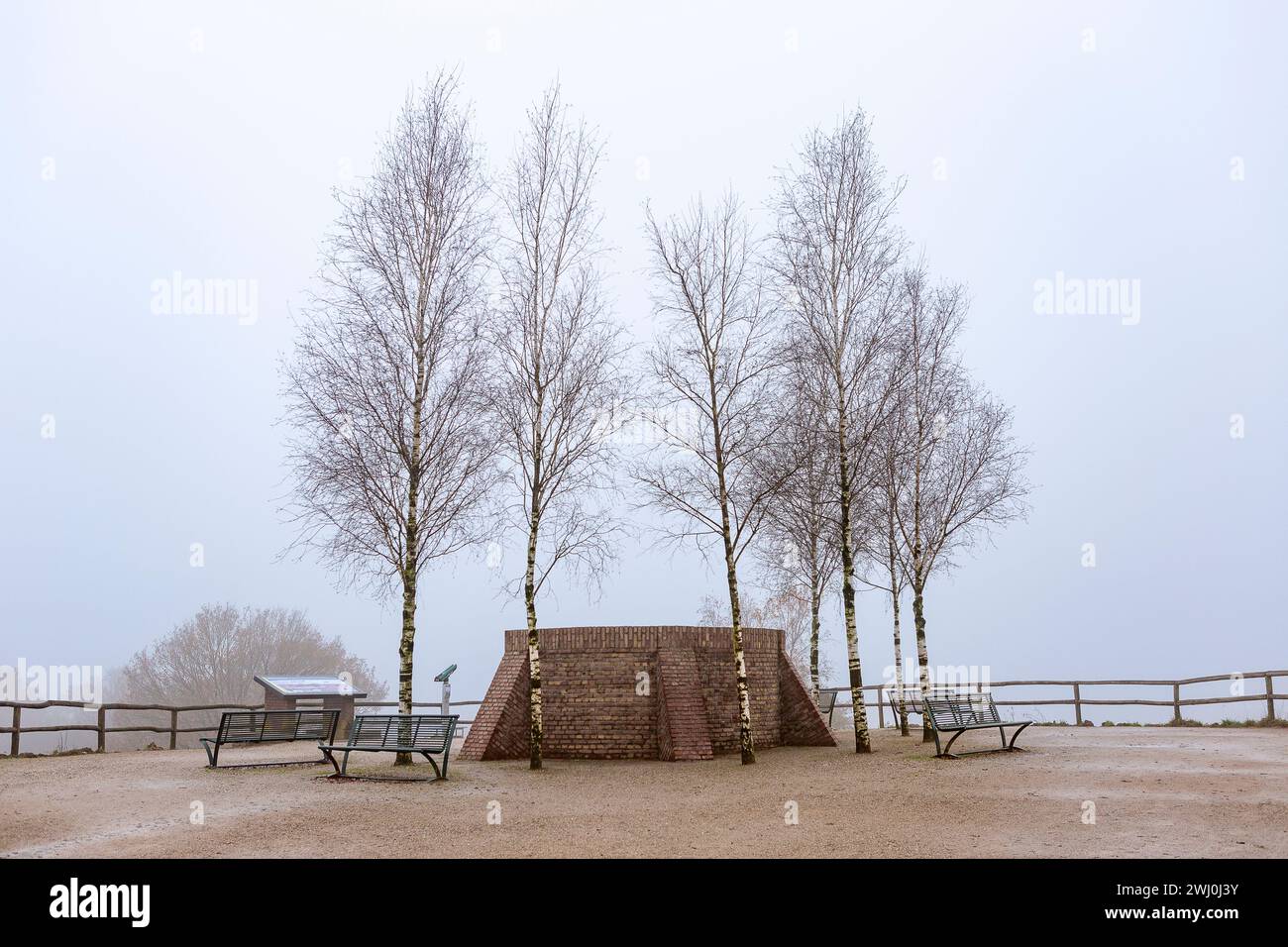 Dutch moorland landscape with a single tree with meandering branches ...