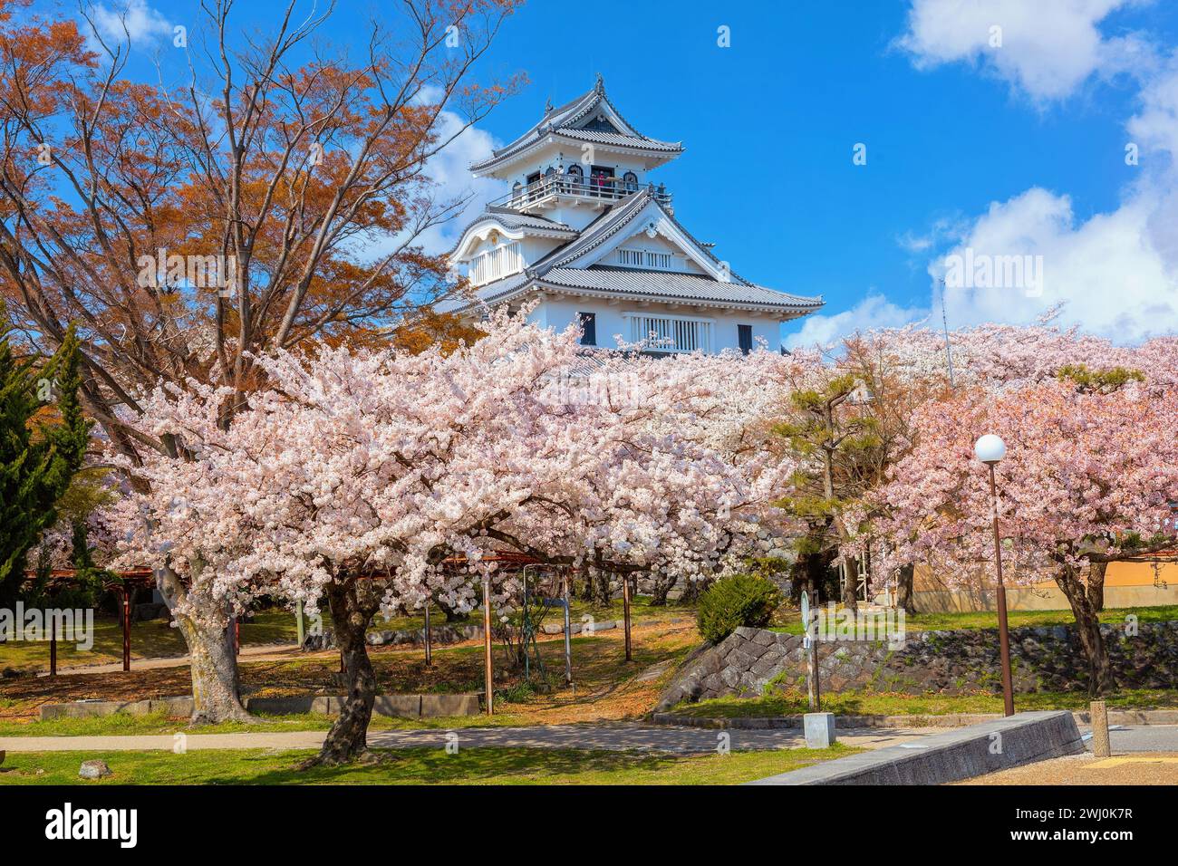 Shiga, Japan - April 3 2023: Nagahama Castle built by feudal lord ...
