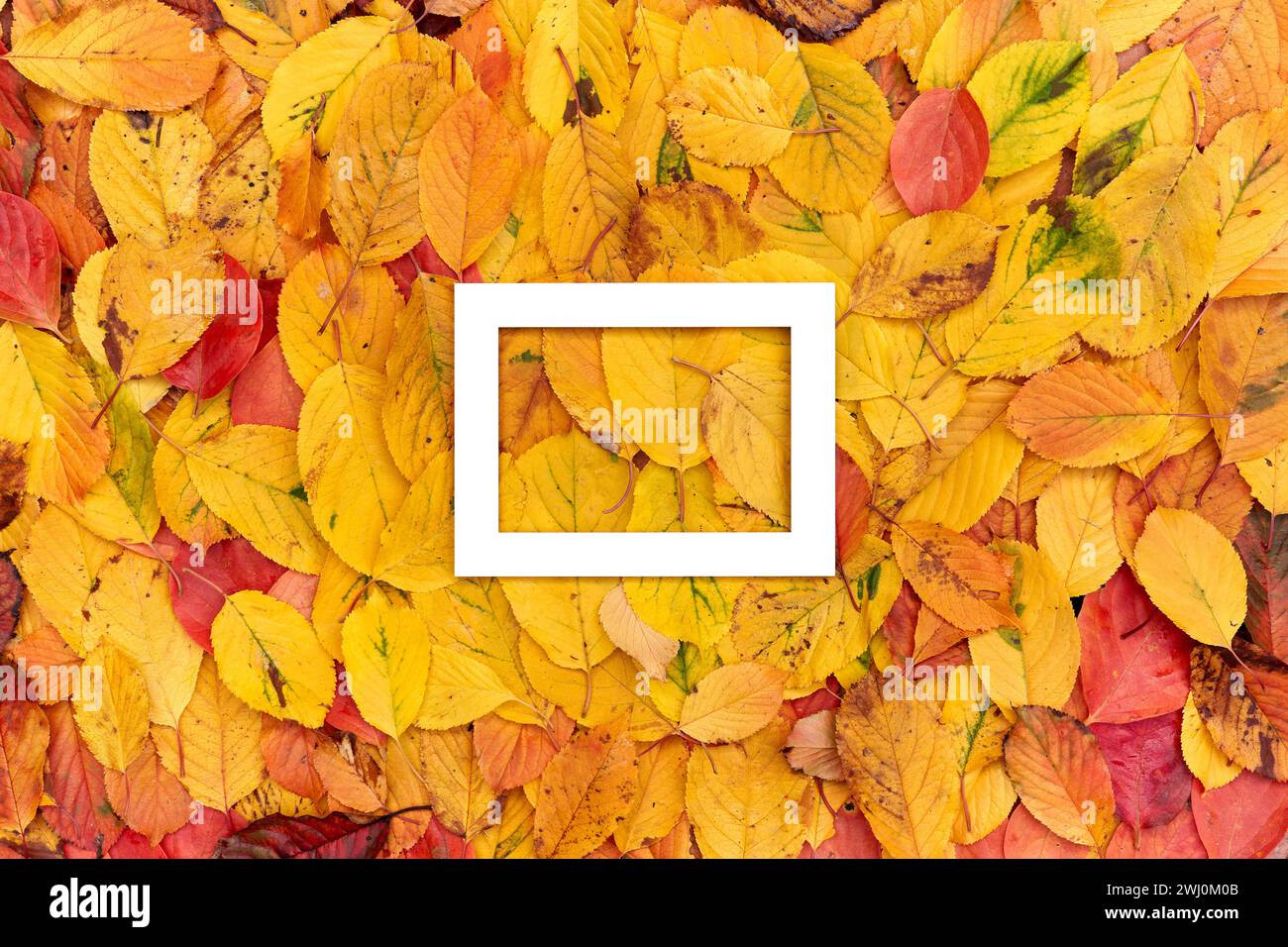 Horizontal rectangular frame hi-res stock photography and images - Alamy