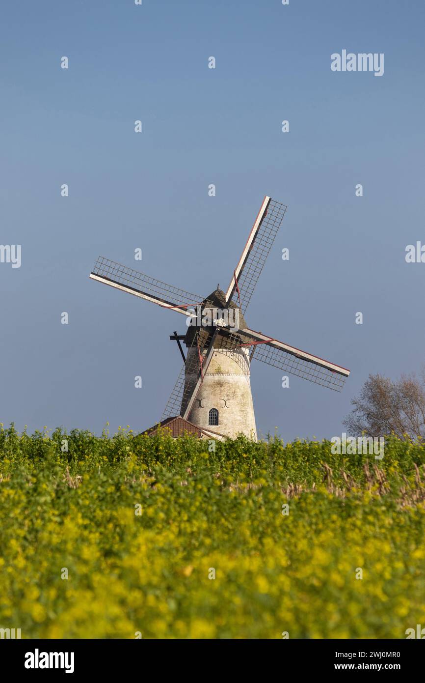 Landscape flanders historical field hi-res stock photography and images ...