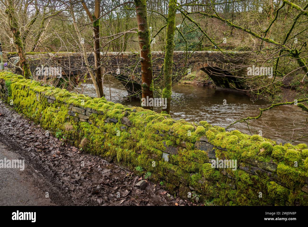 Moss covered bridge hi-res stock photography and images - Alamy