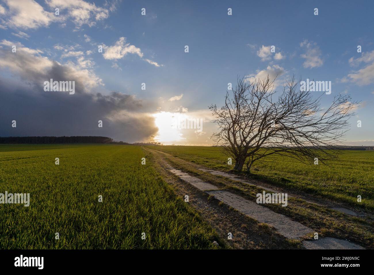 Field path at sunset hi-res stock photography and images - Alamy