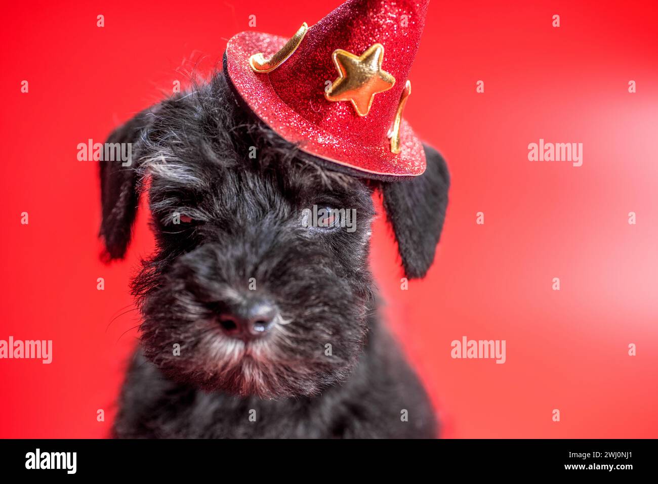 0245 jpg hi-res stock photography and images - Alamy