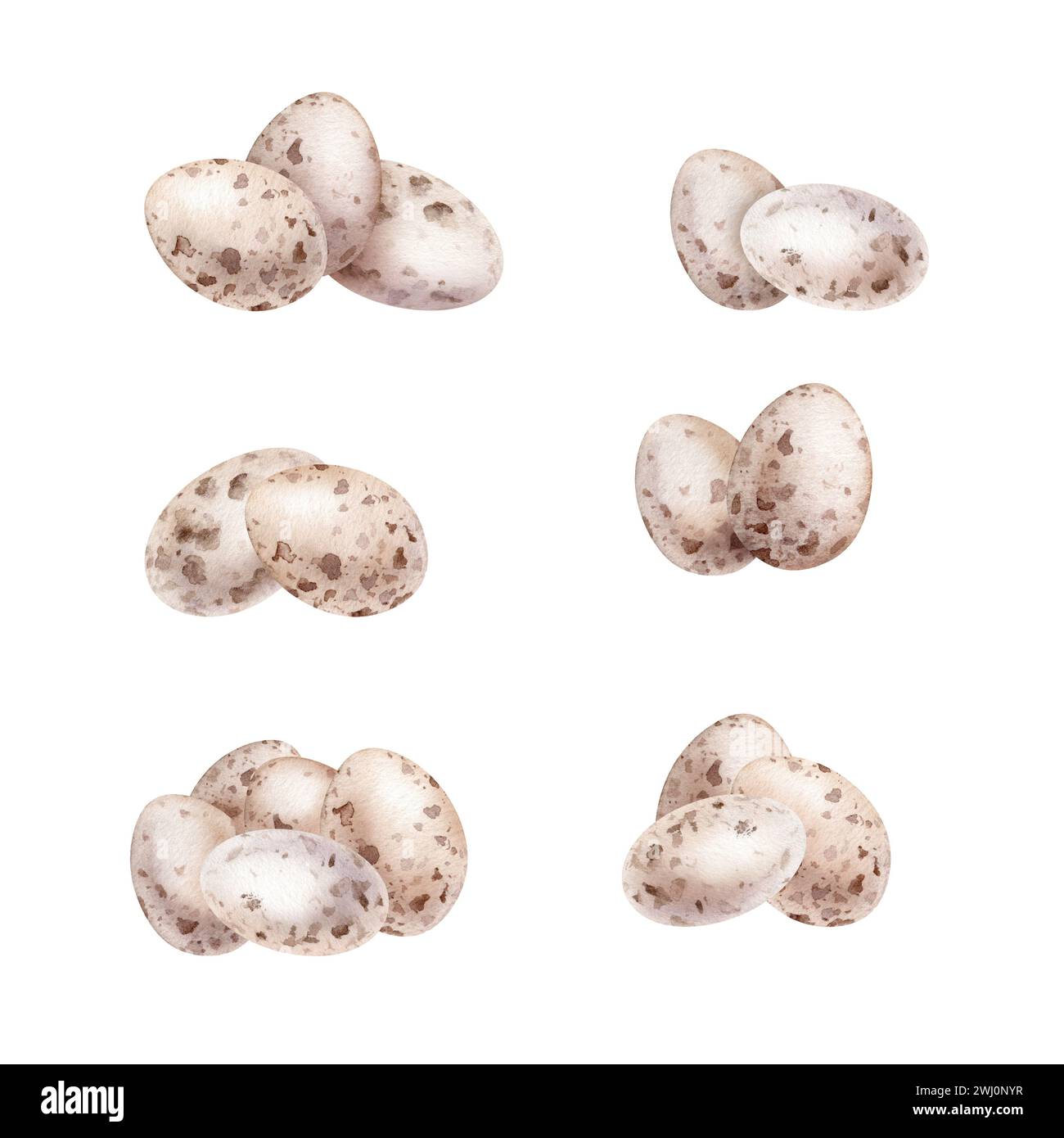 Three quail eggs shell. Symbols of Easter for design. Watercolor hand ...