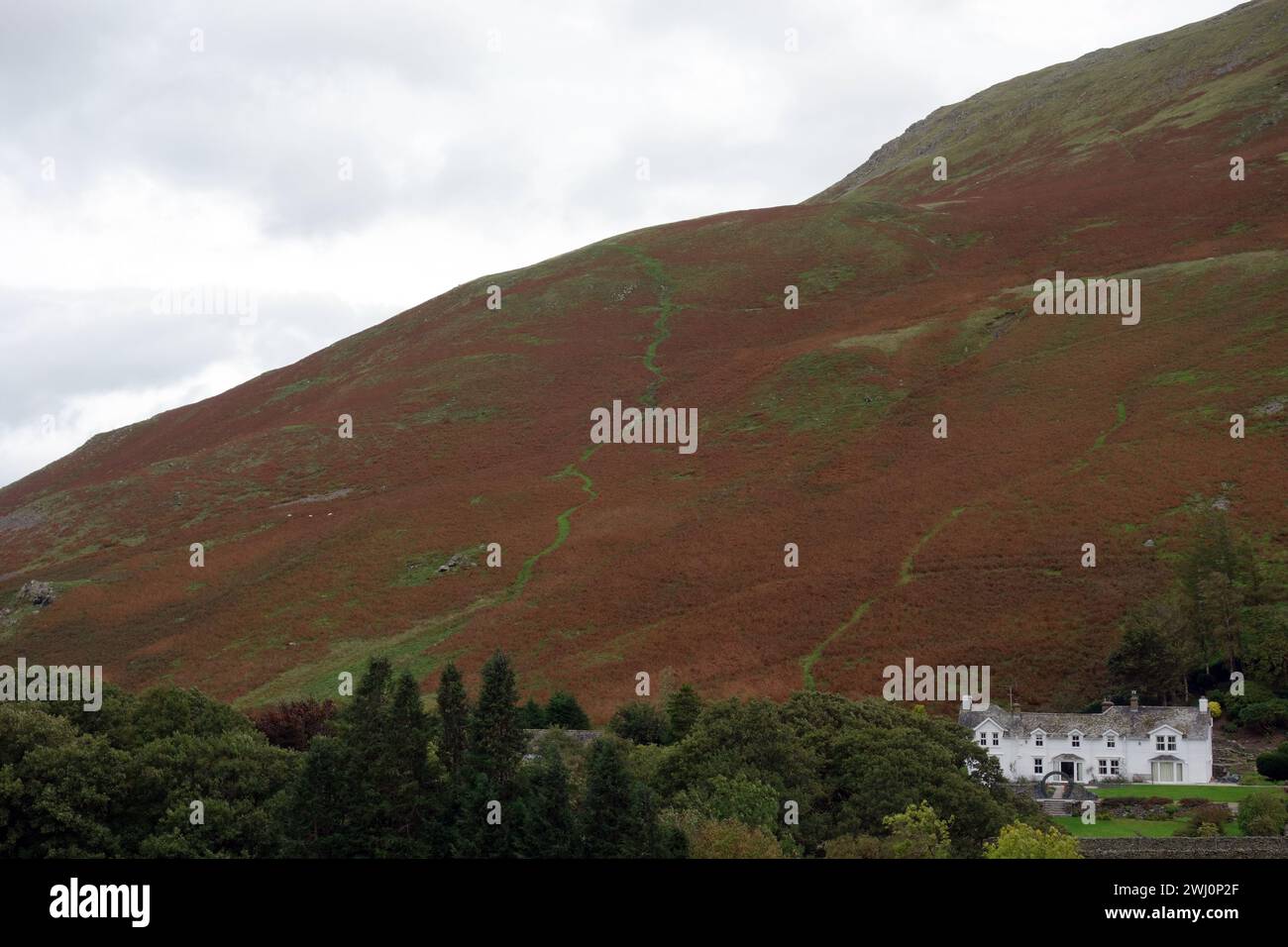 The Path to the Wainwright 'Bonscale Pike' from the Coombs on Bridleway ...