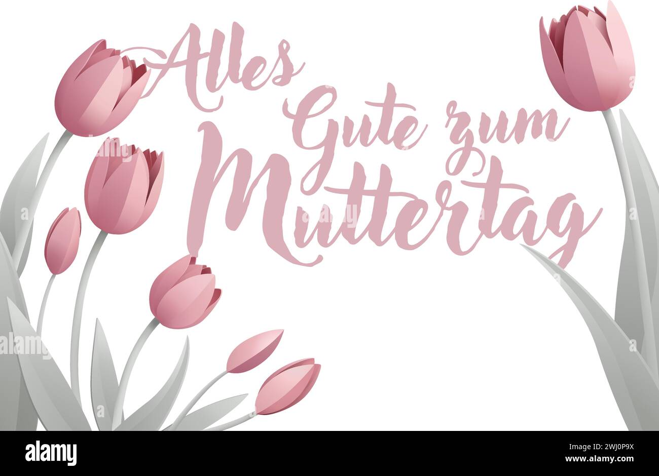 Mothers Day German Alles Gute Zum Muttertag Design Stock Vector Image ...