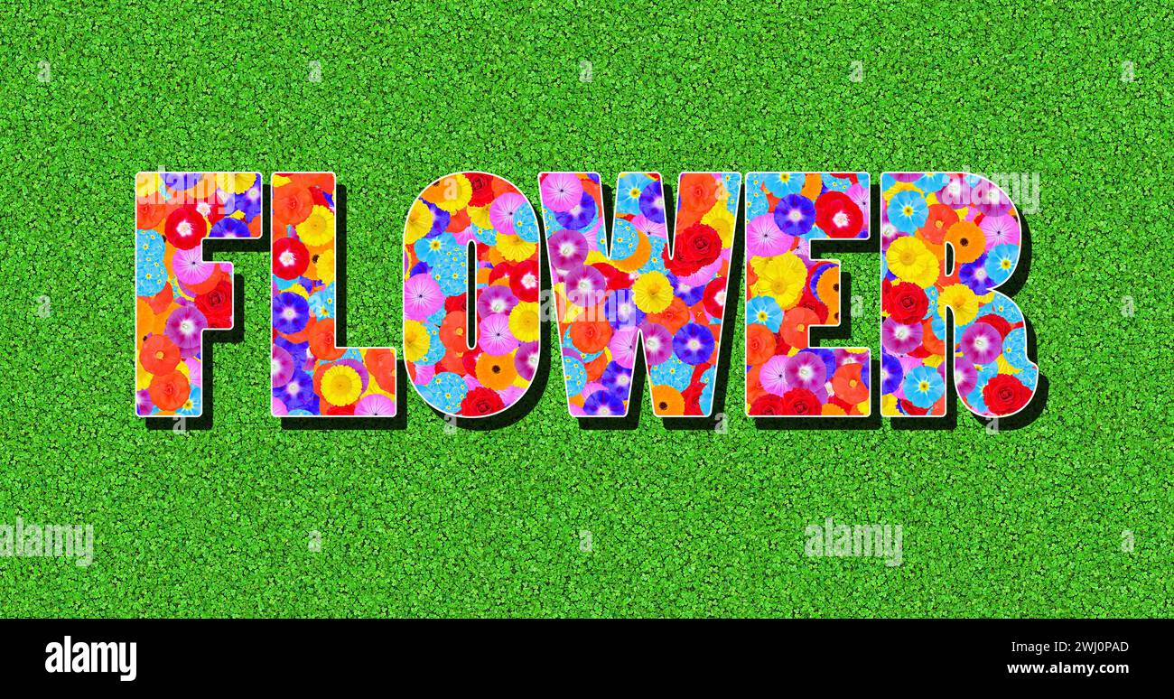 the word Flower written with colorful flowers, illustration, graphic ...