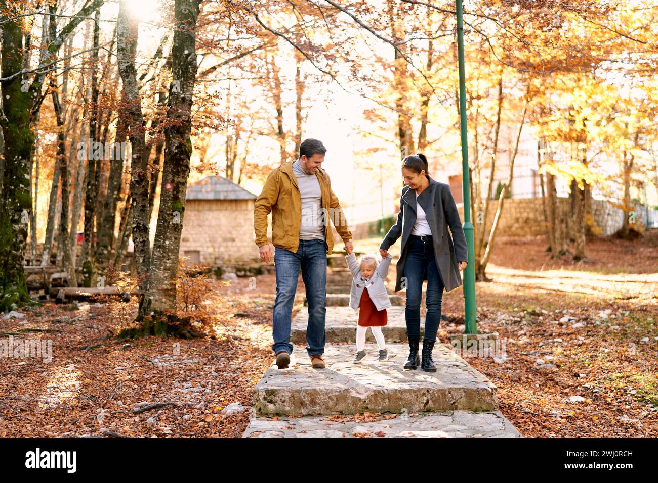 Parents lead their little daughter by the hands along a paved path in ...