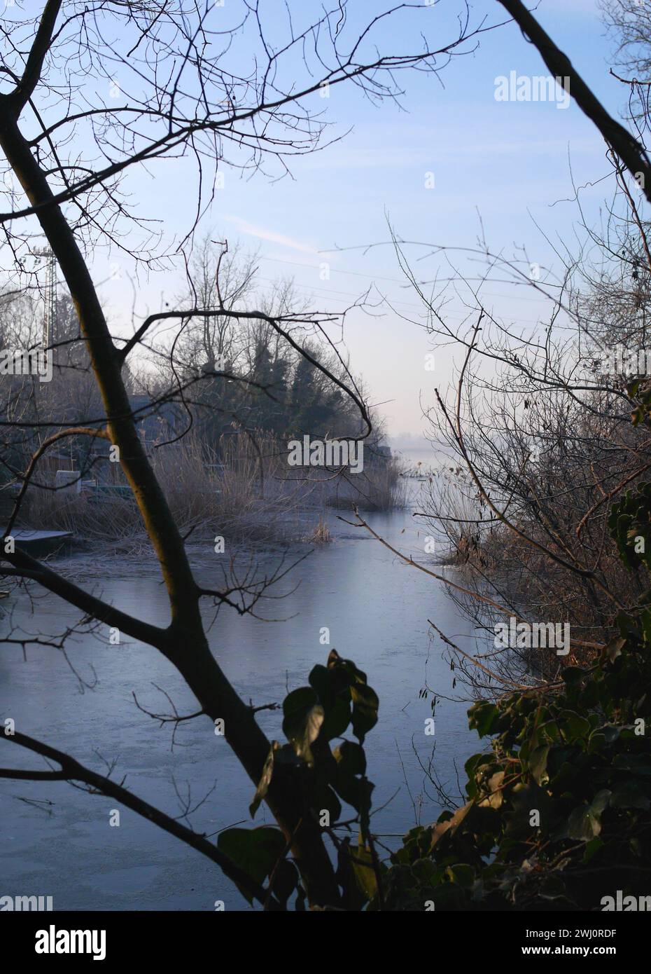Frozen backwaters in winter of the River Danube, Szigethalom, Hungary ...