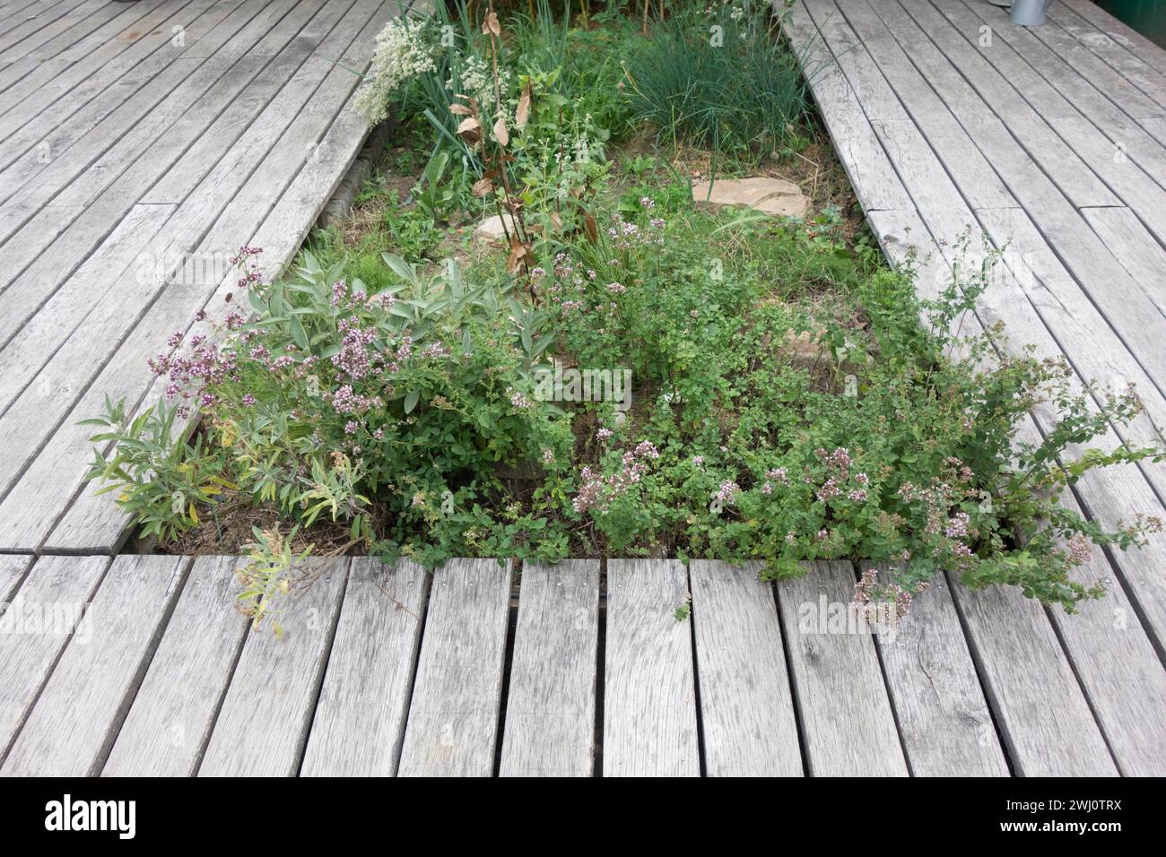 Garden trail or garden pathes Stock Photo - Alamy