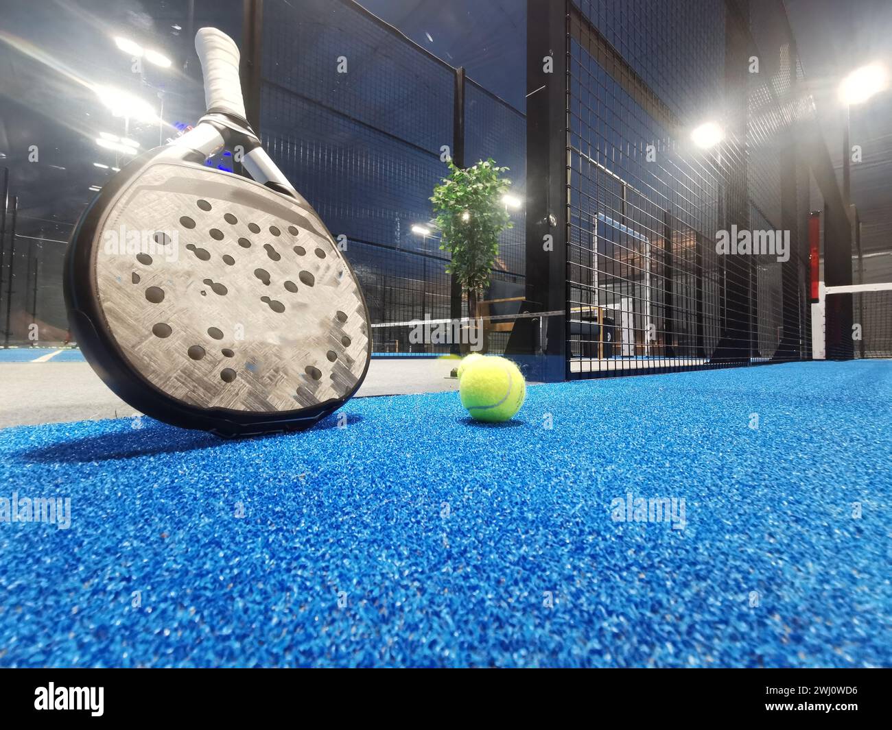 Paddle tennis racket, ball and net on the court Stock Photo - Alamy