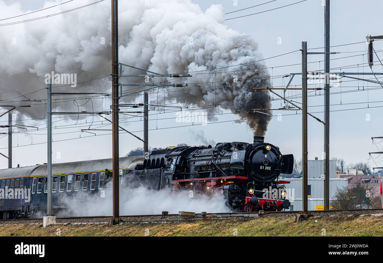 Die Dampflokomotive der Baureihe 01 (BR 01) (01 202) bei der Einfahrt ...