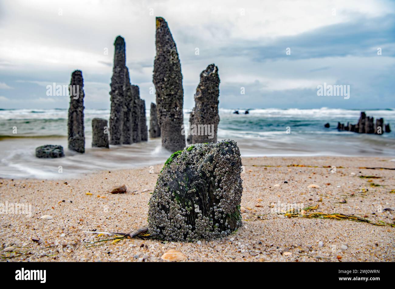Wooden crest hi-res stock photography and images - Alamy