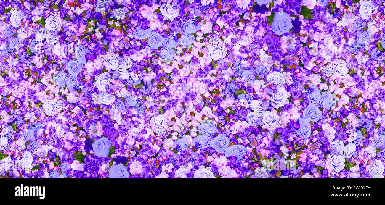 Many blooming flower lilac color backdrop for product presentation ...