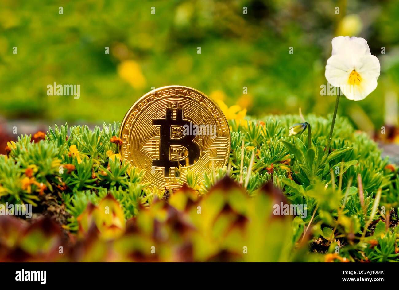 Blockchain technology in agriculture hi-res stock photography and ...