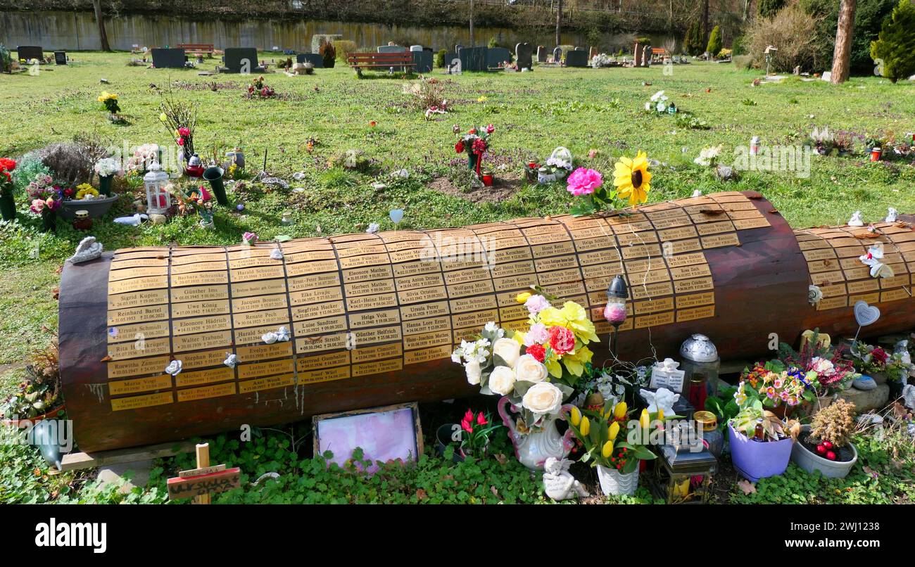 Grave field with name plaques on trees of remembrance Stock Photo - Alamy