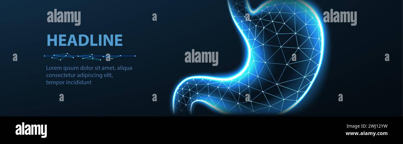 Abstract wireframe stomach illustration. Stomach anatomy, 3D ...
