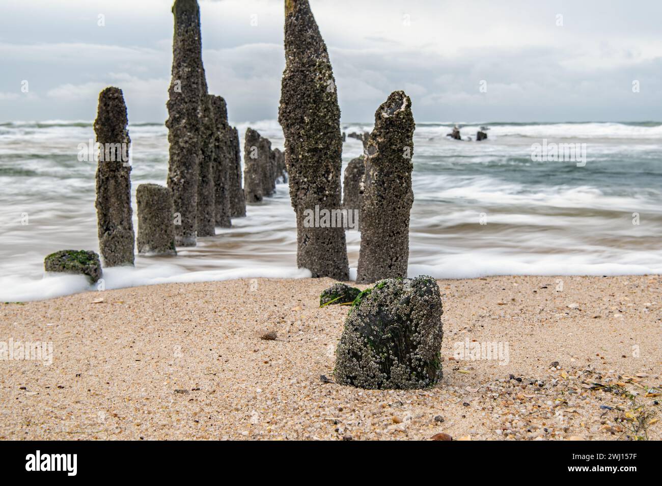 Wooden piles breakwater hi-res stock photography and images - Alamy