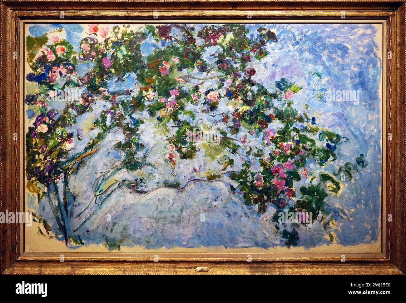 Roses (1925-1926) by Claude Monet (1840-1926 Stock Photo - Alamy