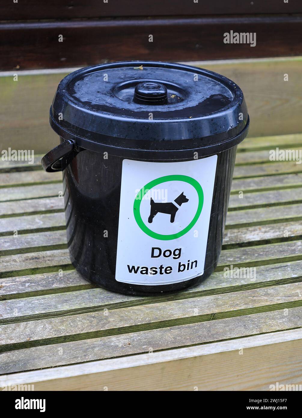 A dog waste bin or bucket on wooden slats, England, UK Stock Photo - Alamy