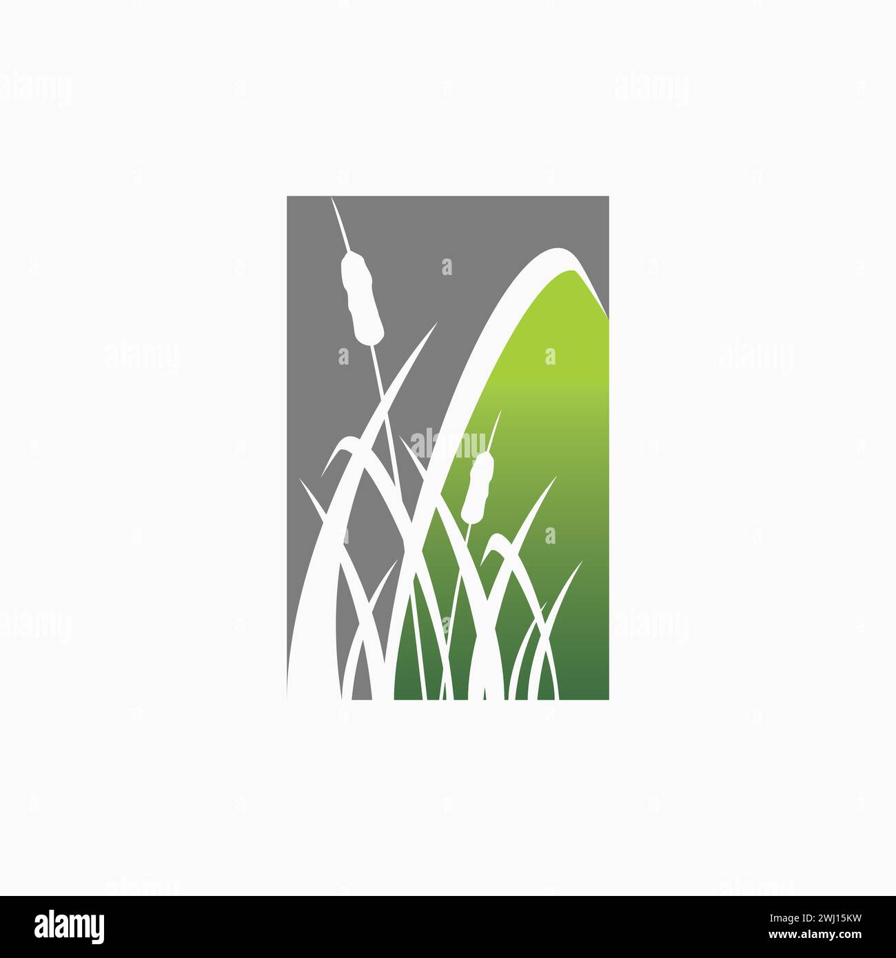 Premium stock flora Cut Out Stock Images & Pictures - Alamy