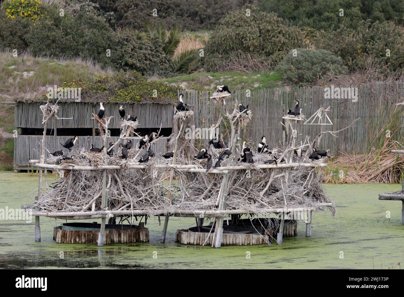 Intaka island bird sanctuary hi-res stock photography and images - Alamy