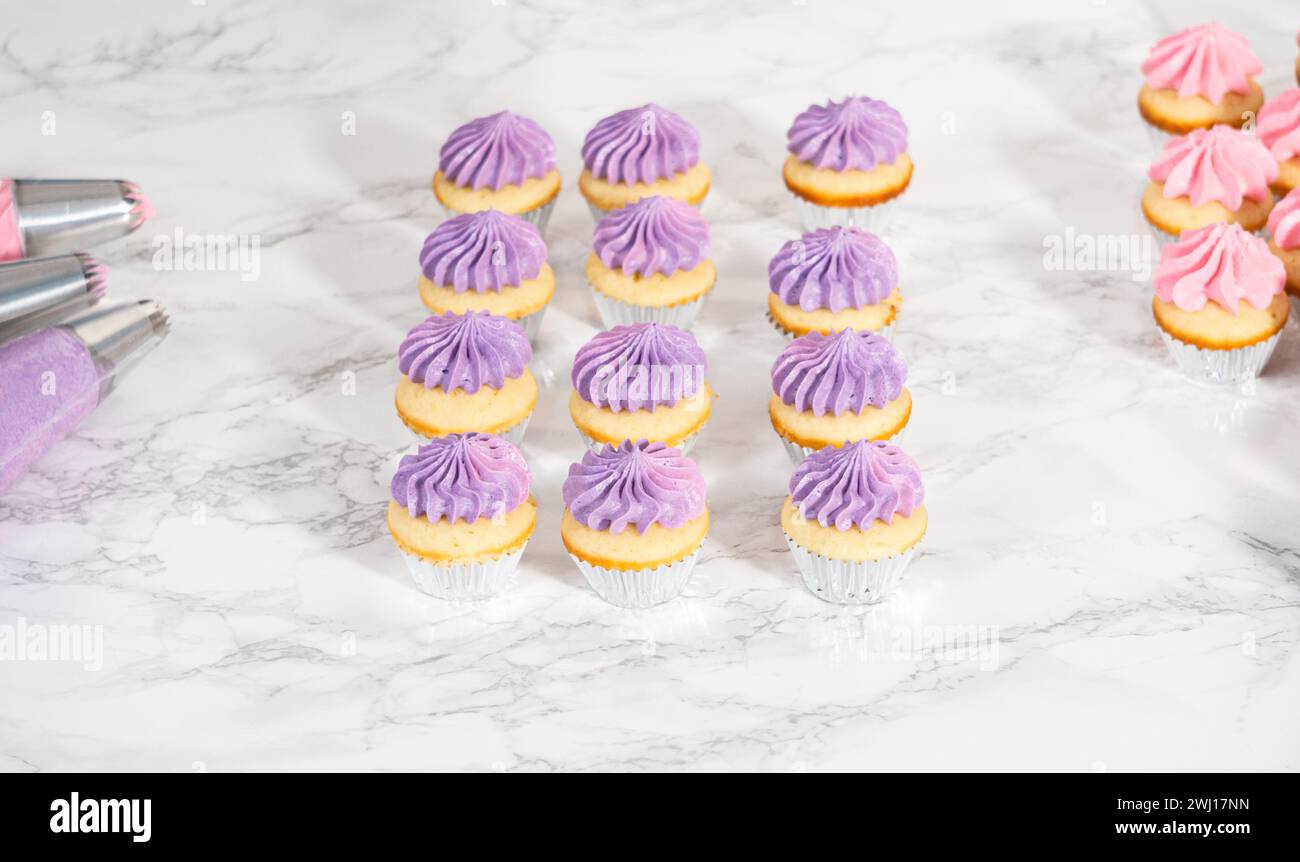 Mini Vanilla Cupcakes with Pink Buttercream Frosting Stock Photo - Alamy