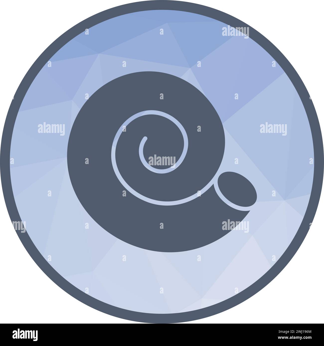 Mollusc shell illustration Stock Vector Images - Alamy