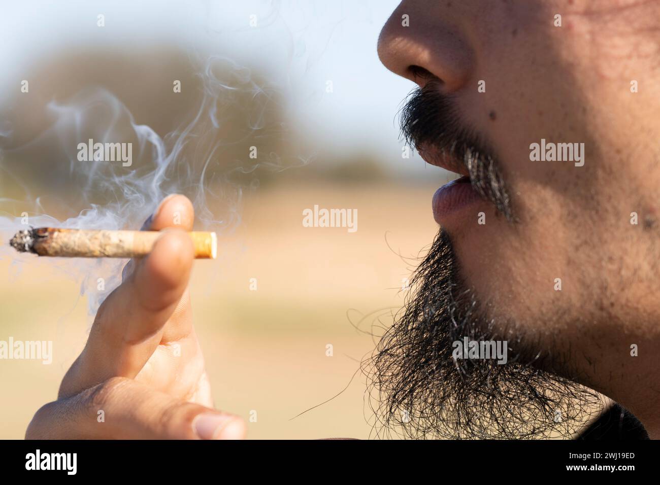 hand holding a marijuana joint, mallorca, spain Stock Photo - Alamy