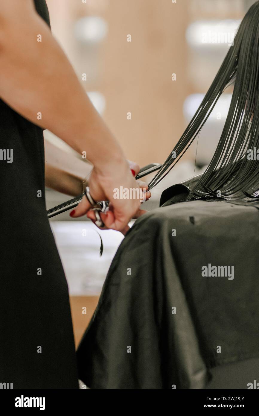 Detailed hairstyling hi-res stock photography and images - Alamy