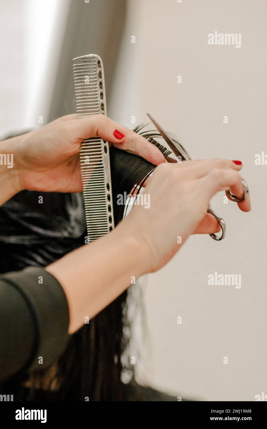 Hairdresser's hands cutting hair with scissors and comb Stock Photo - Alamy