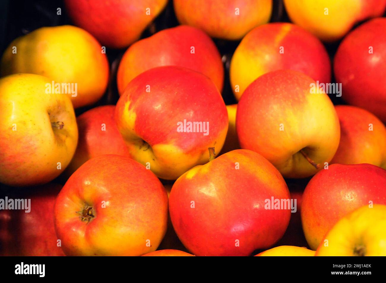 Copenhagen, Denmark/12 February 2024/farmer market or Fruit & vegetable ...