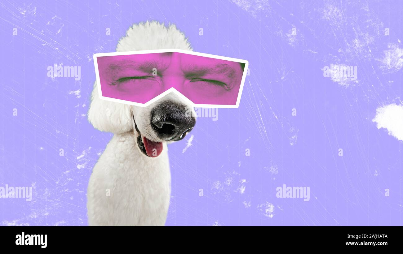 Contemporary art collage. White poodle with human eyes in pink neon ...