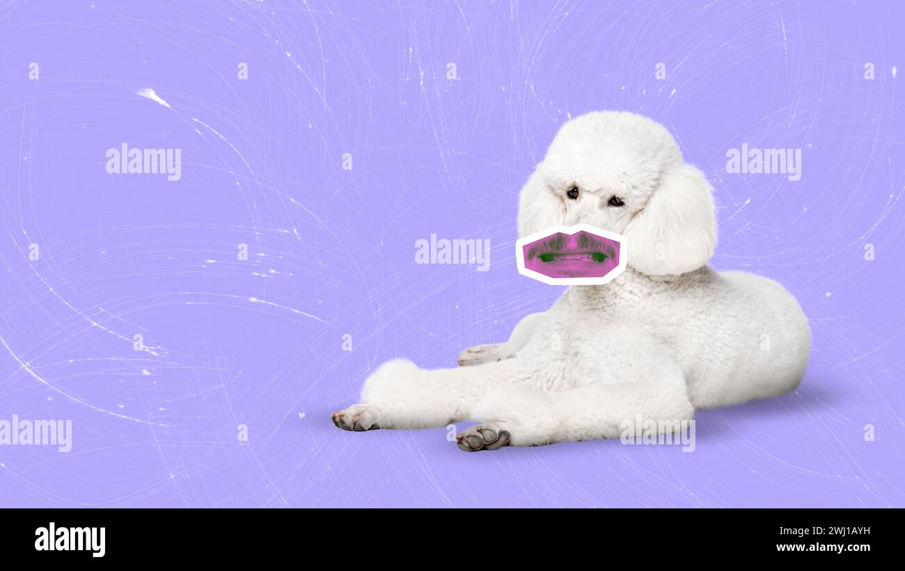 Contemporary art collage. Dog with white fur and male mouth with ...