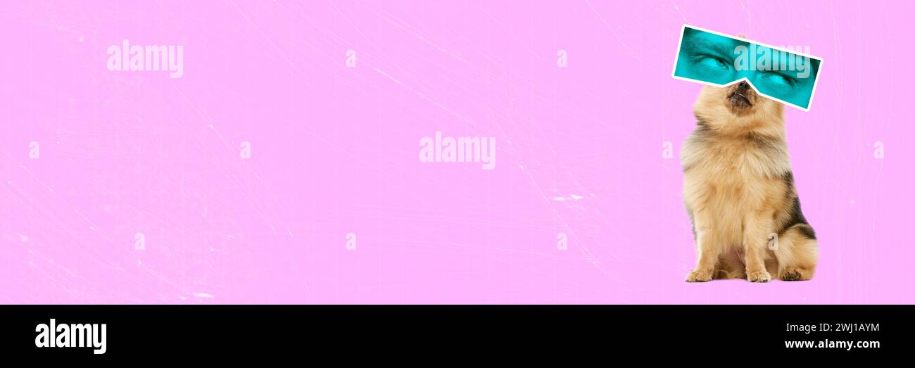 Banner. Contemporary art collage. Dog with male eyes expressing ...