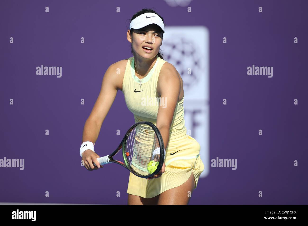 Doha, Qatar. 12th Feb, 2024. DOHA, QATAR - FEBRUARY 12: Emma Raducanu ...