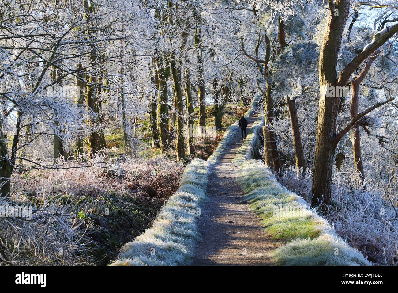 Section of Hadrian's Wall near Housesteads Roman fort on a frosty day ...